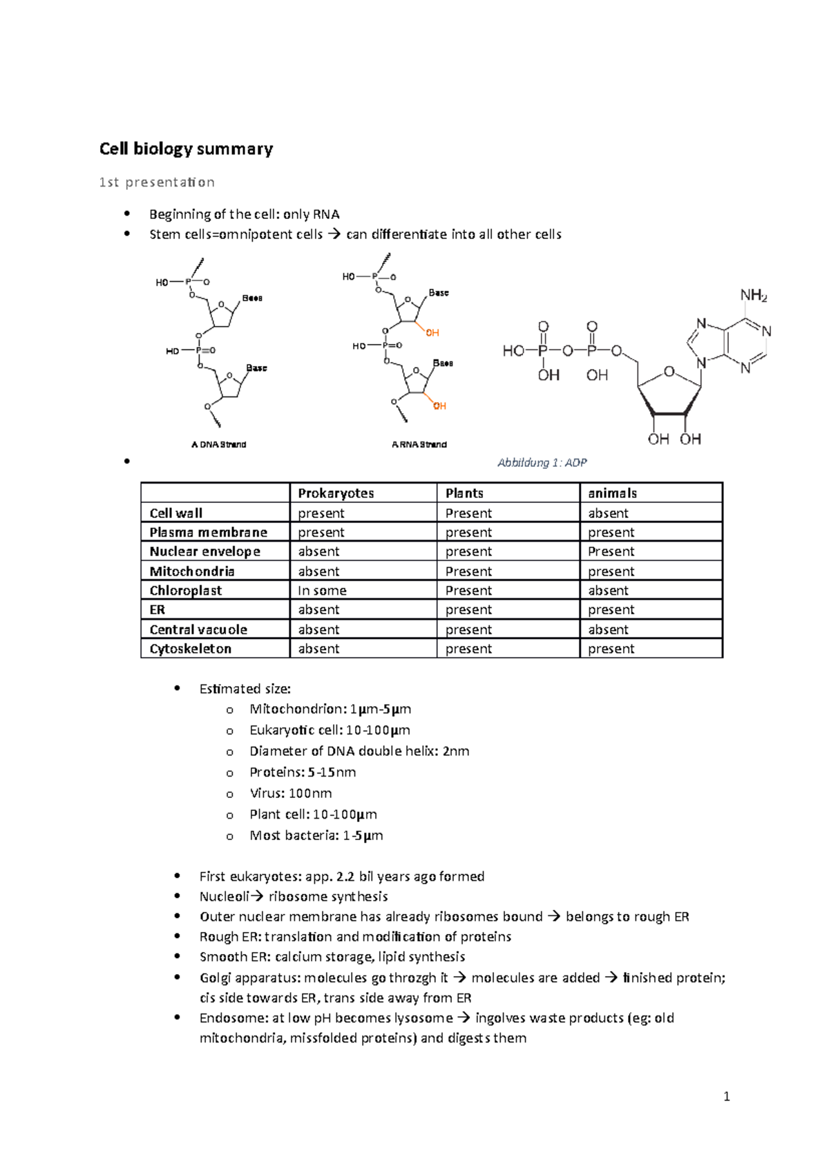 Cell biology summary - cell bio notes - Cell biology summary 1st ...