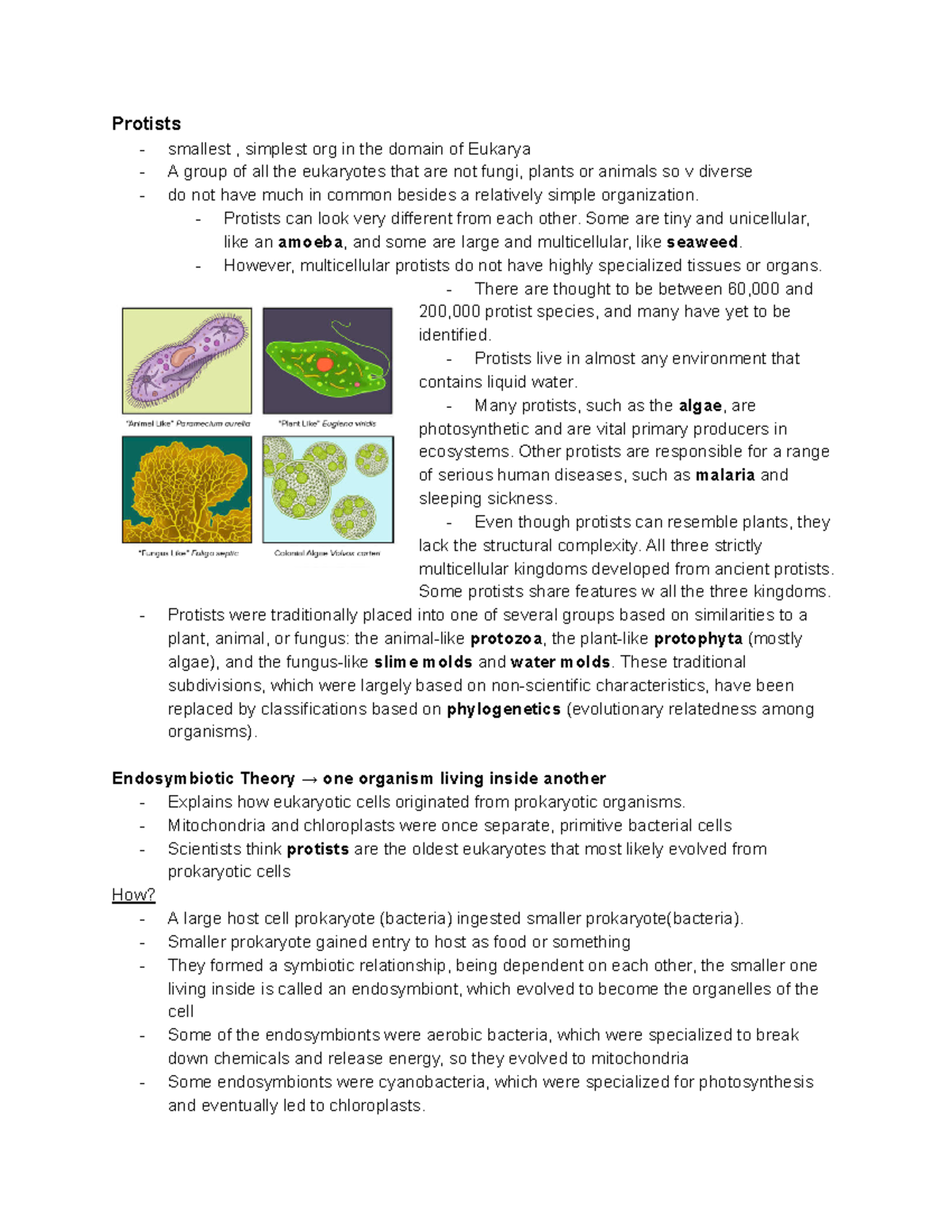 Protists and Phenotypes Biology Notes Chapter 1 - Protists smallest ...