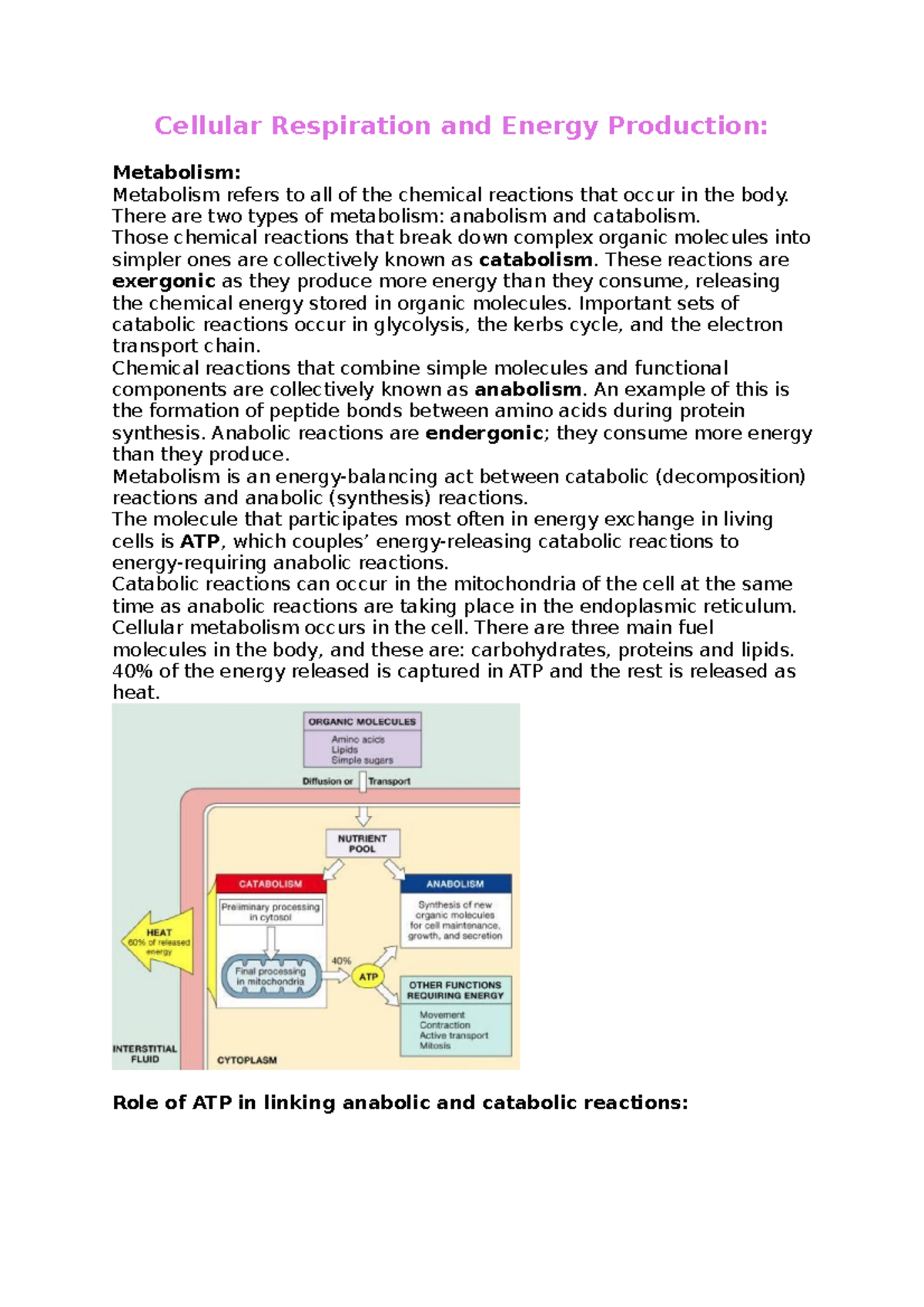 Cellular Respiration and Energy Production - Cellular Respiration and ...