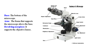 Practicum Practice - BIOL 112 - Studocu