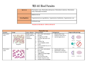MLS 441 Virology Chart - Virology Terms: Virions Virus particles Capsid ...