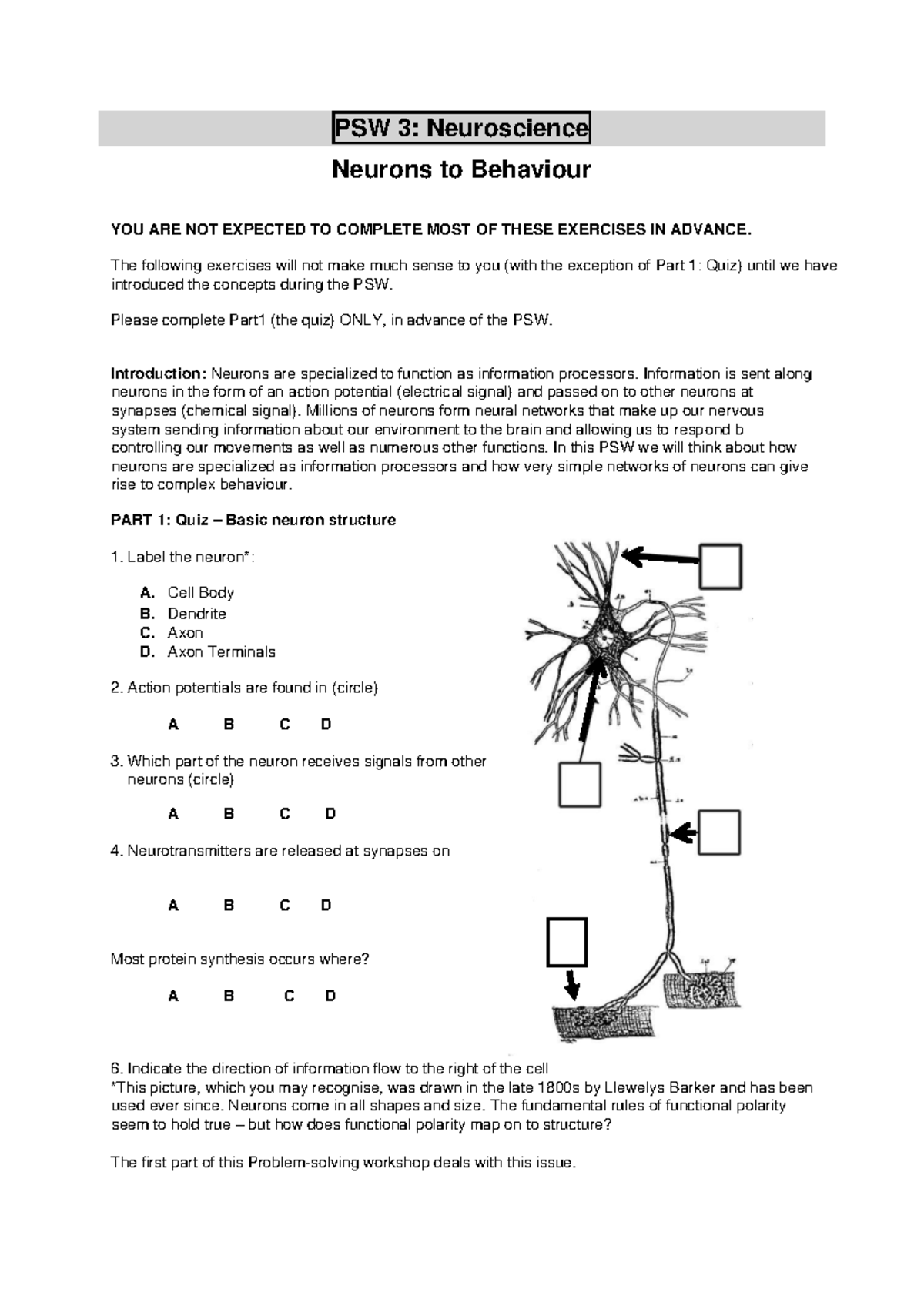 PSW 3 worksheet -13 - PSW 3: Neuroscience Neurons to Behaviour YOU ARE ...