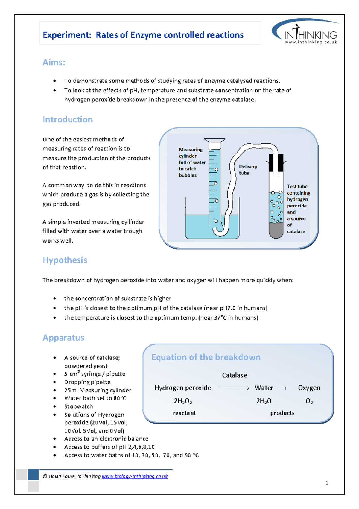 Practical #3 - Investigation of factors affecting enzyme activity ...