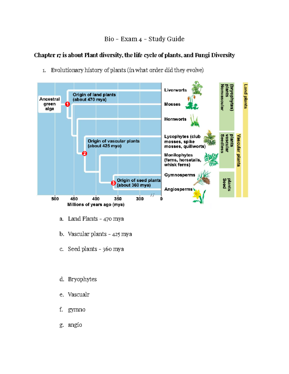 Bio Study Guide Exam 4 - Bio - Exam 4 - Study Guide Chapter 17 is about ...