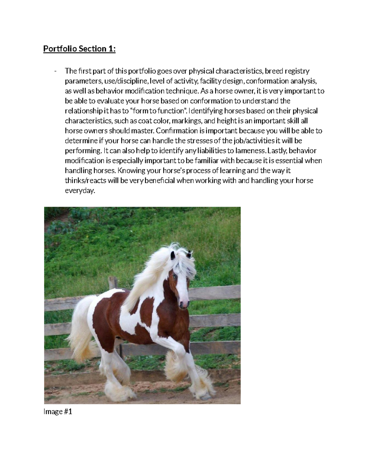 Equine Ownership Portfolio-10 - Portfolio Section 1: The ûrst part of ...