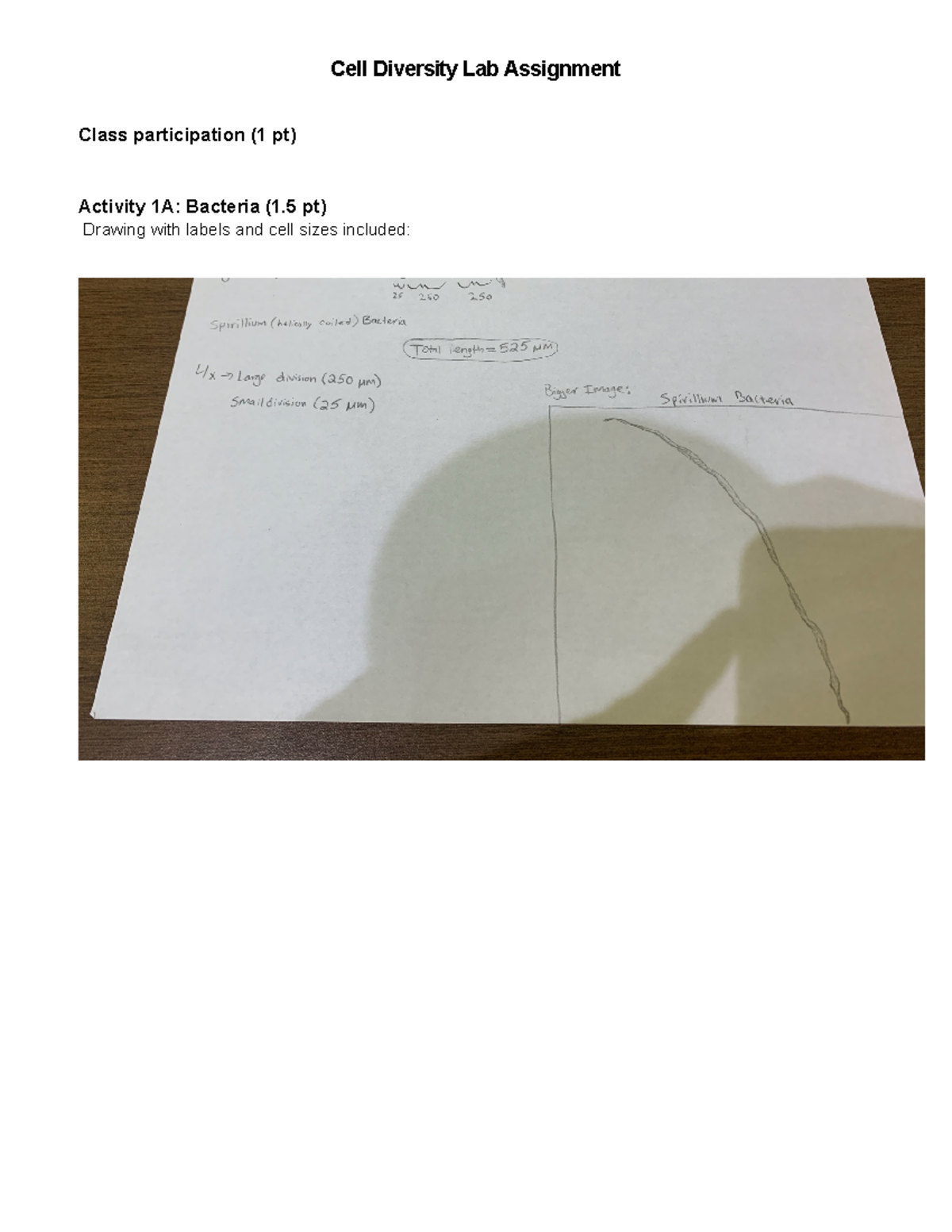 F21 03 Cell Diversity Assignment - Cell Diversity Lab Assignment Class ...