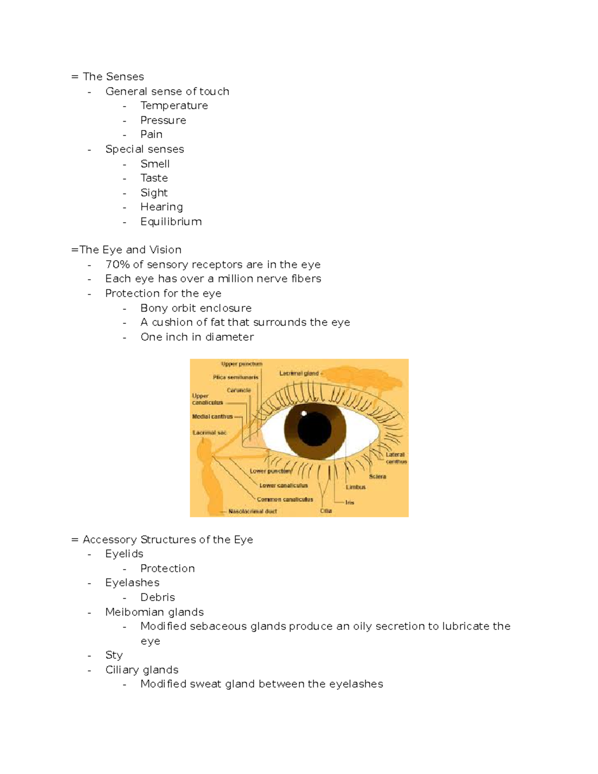 Physio Anatomy Special Senses Notes - = The Senses - General sense of ...