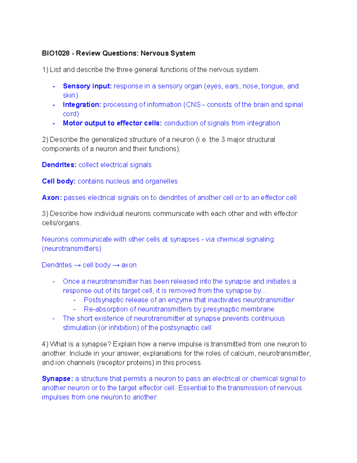Nervous system study guide - BIO1028 - Review Questions: Nervous System ...