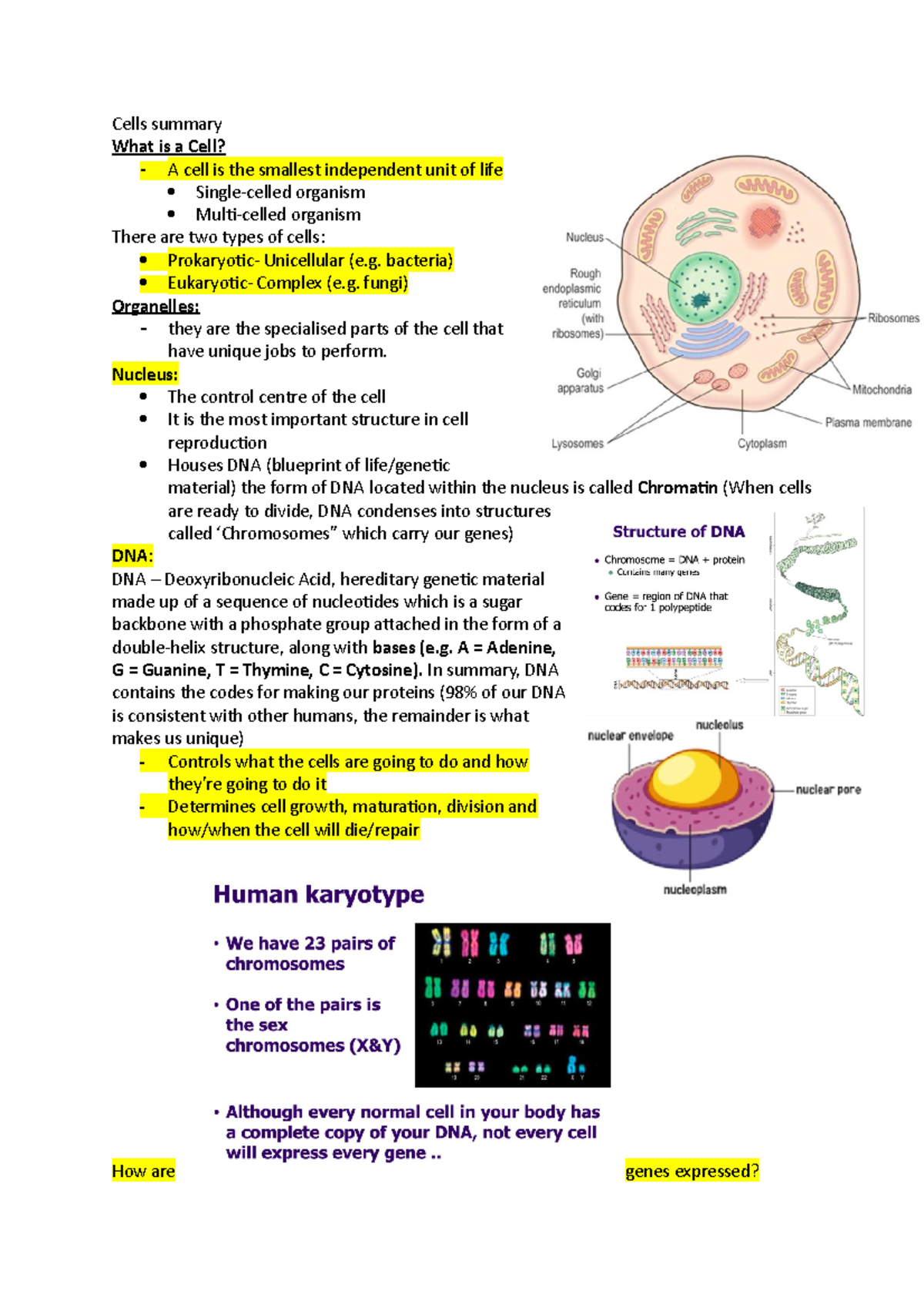 Cells summary - Cells summary What is a Cell? A cell is the smallest ...