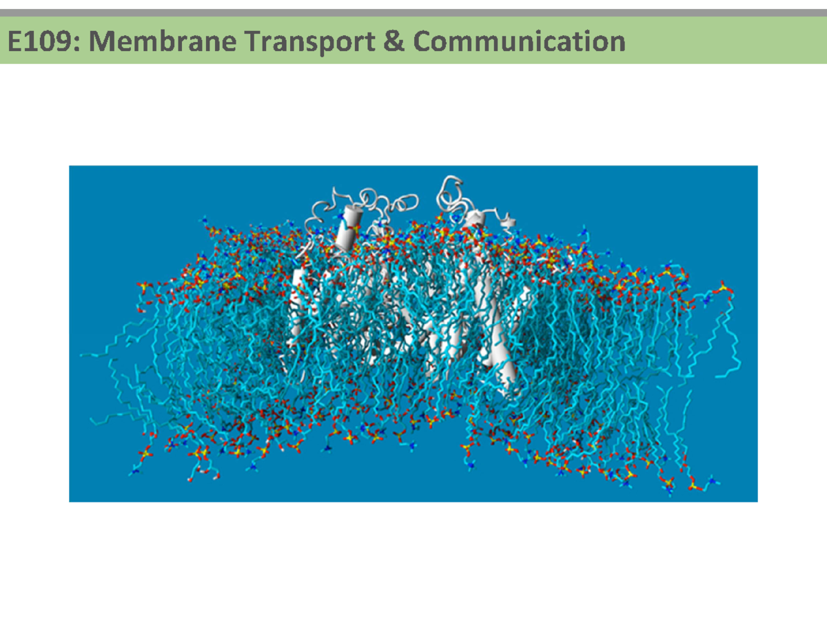 E109 Lecture 2 Fall 2024 post-compressed - E109: Membrane Transport & Communication Learning ...