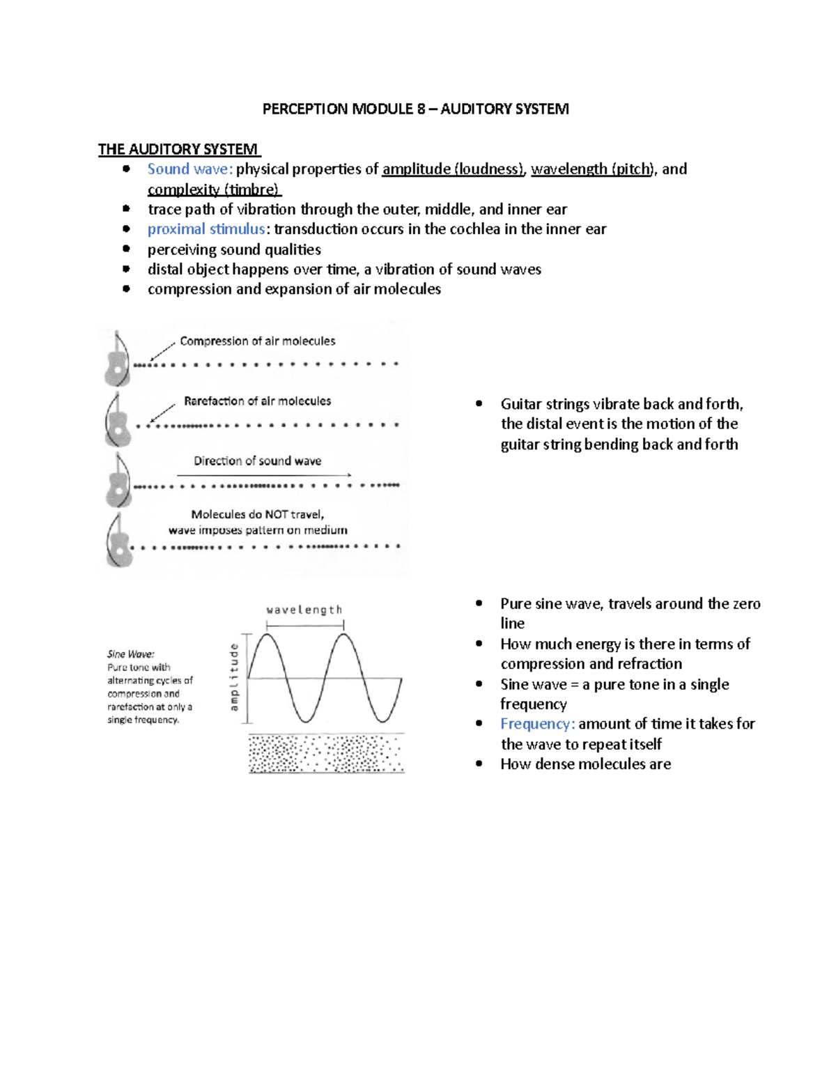 Moduel 8Notes - notes - PERCEPTION MODULE 8 – AUDITORY SYSTEM THE ...
