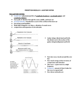 Perception Module 3 - Visual Brain Pathways - Visual Brain Pathways ...
