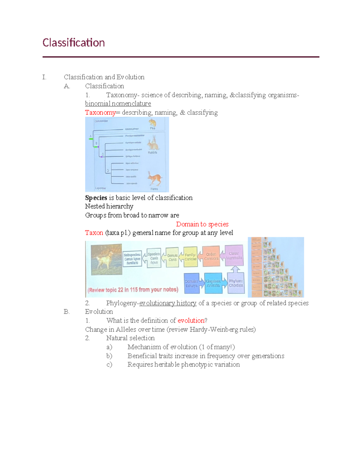 Classification - work - Classification I. Classification and Evolution ...