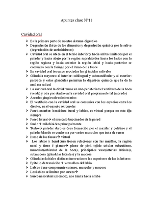Hueso neumatico - Huesos neumáticos Que son: Son huesos que están ...