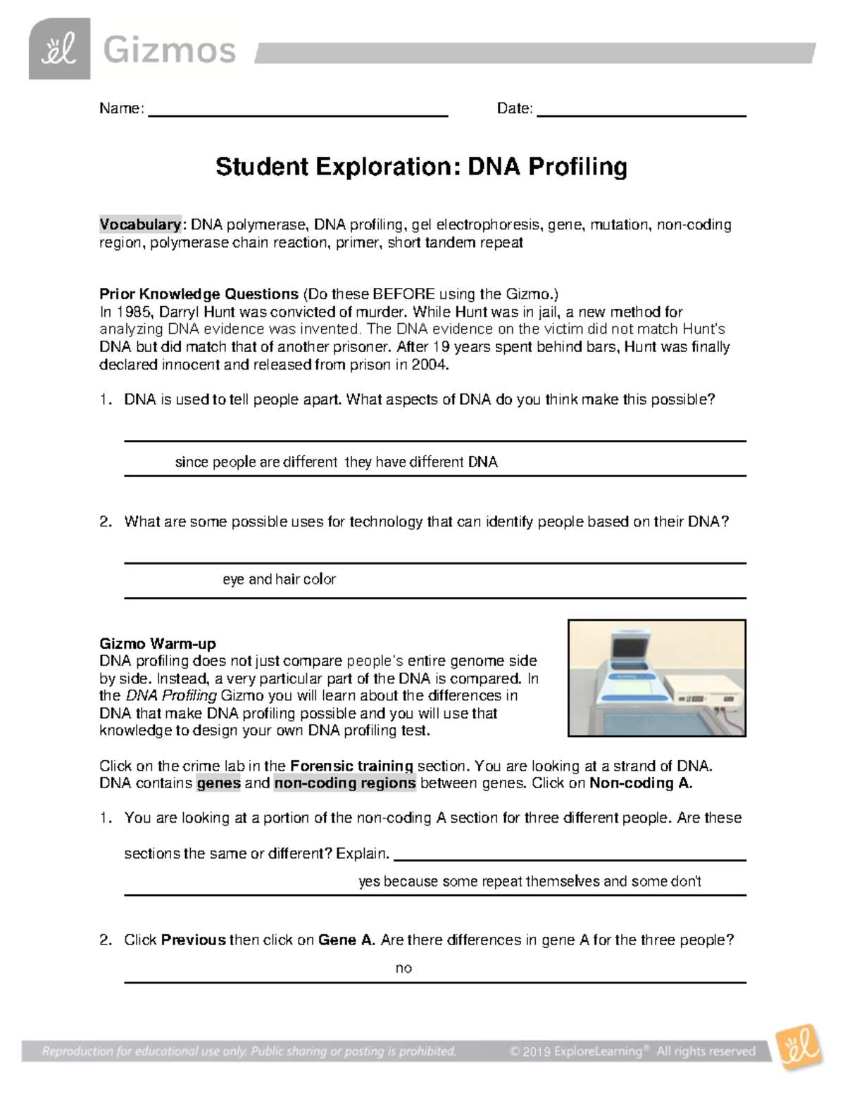 Kami Export - Cameron Strange - DNAProfiling SE - Name: Date: Student ...