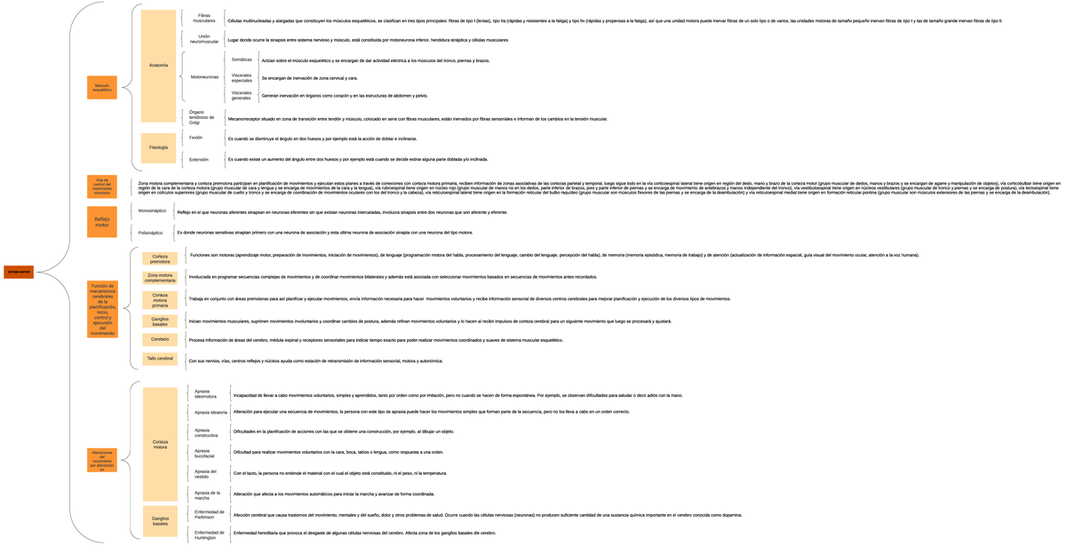 Cuadro sinóptico de neuro 4 - SISTEMA MOTOR Alteraciones del movimiento por afectación en ...