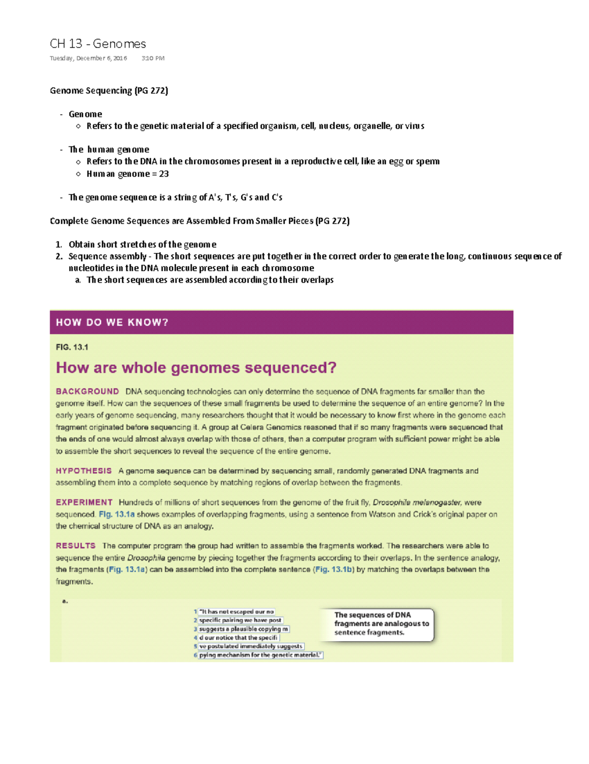 BIOL 1108 - CH 13 - Genomes - Warning: TT: undefined function: 32 Warning: TT: undefined ...