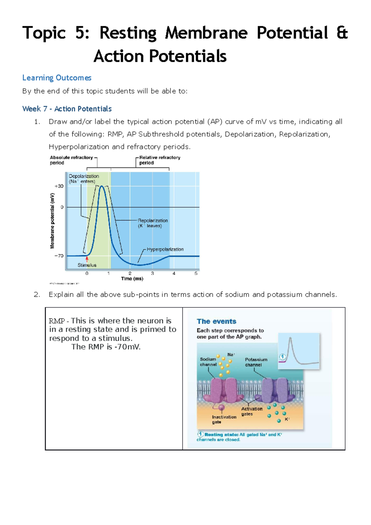 Topic 5 RMP and AP - just notes. - Topic 5: Resting Membrane Potential ...