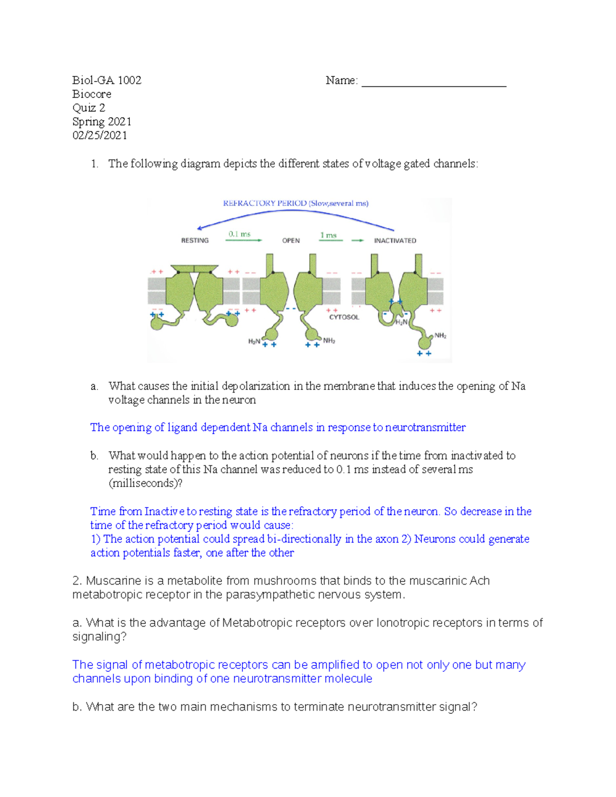 Quiz 2 - Practice material for Molecular and Cell Biology - Biol-GA ...