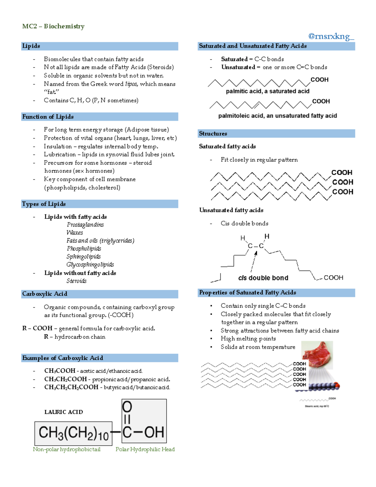 Lipids reviewer - Lab report - @rnsrxkng_ Lipids Biomolecules that ...