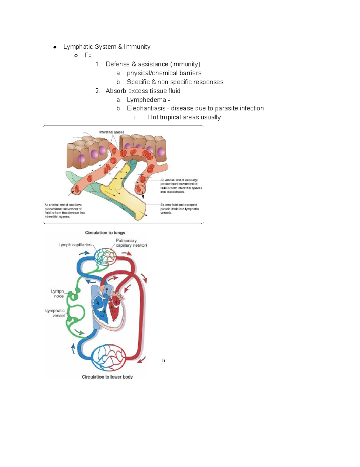 Ch. 21 Lymphatic System & Immune - Lymphatic System & Immunity Fx 1 ...