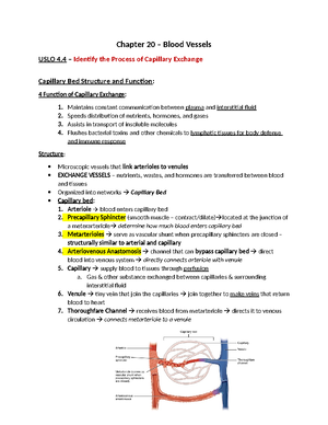 Unit 4.2 - Identify Factors Affecting Blood Flow - Chapter 20 – Blood ...