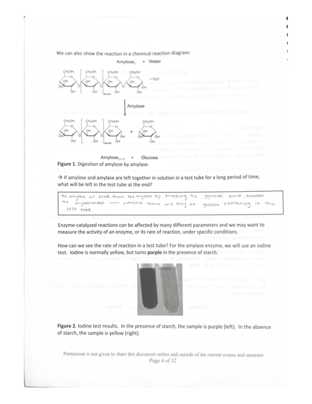 Enzymes Pre-Lab BISC 101 - BISC 101 - Studocu