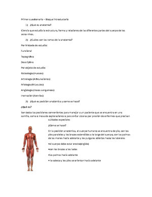 Anatomía fosa axilar - FOSA AXILAR Base -Fascia Axilar Pliegue Anterior ...