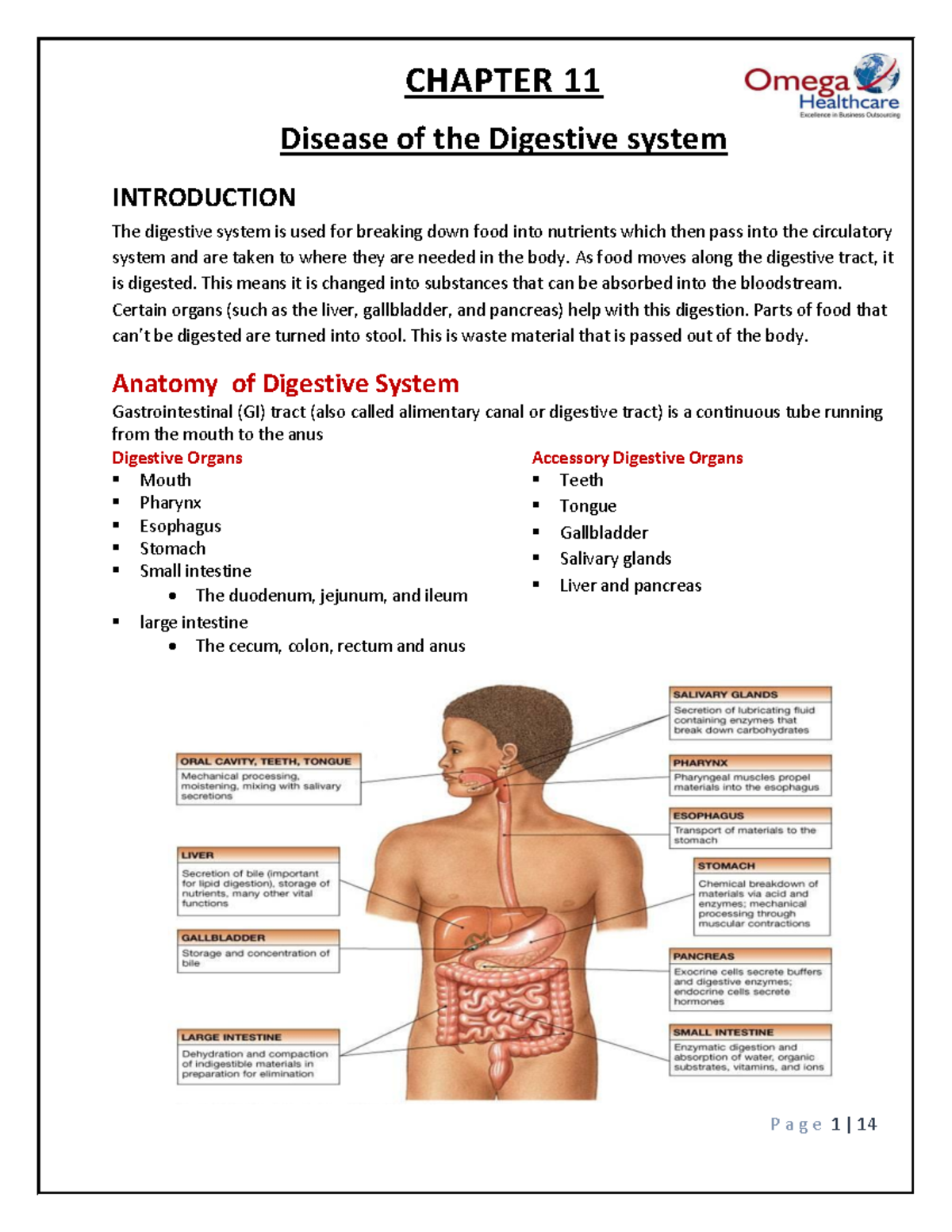 Clinical Anatomy - Disease of the Digestive system INTRODUCTION The ...