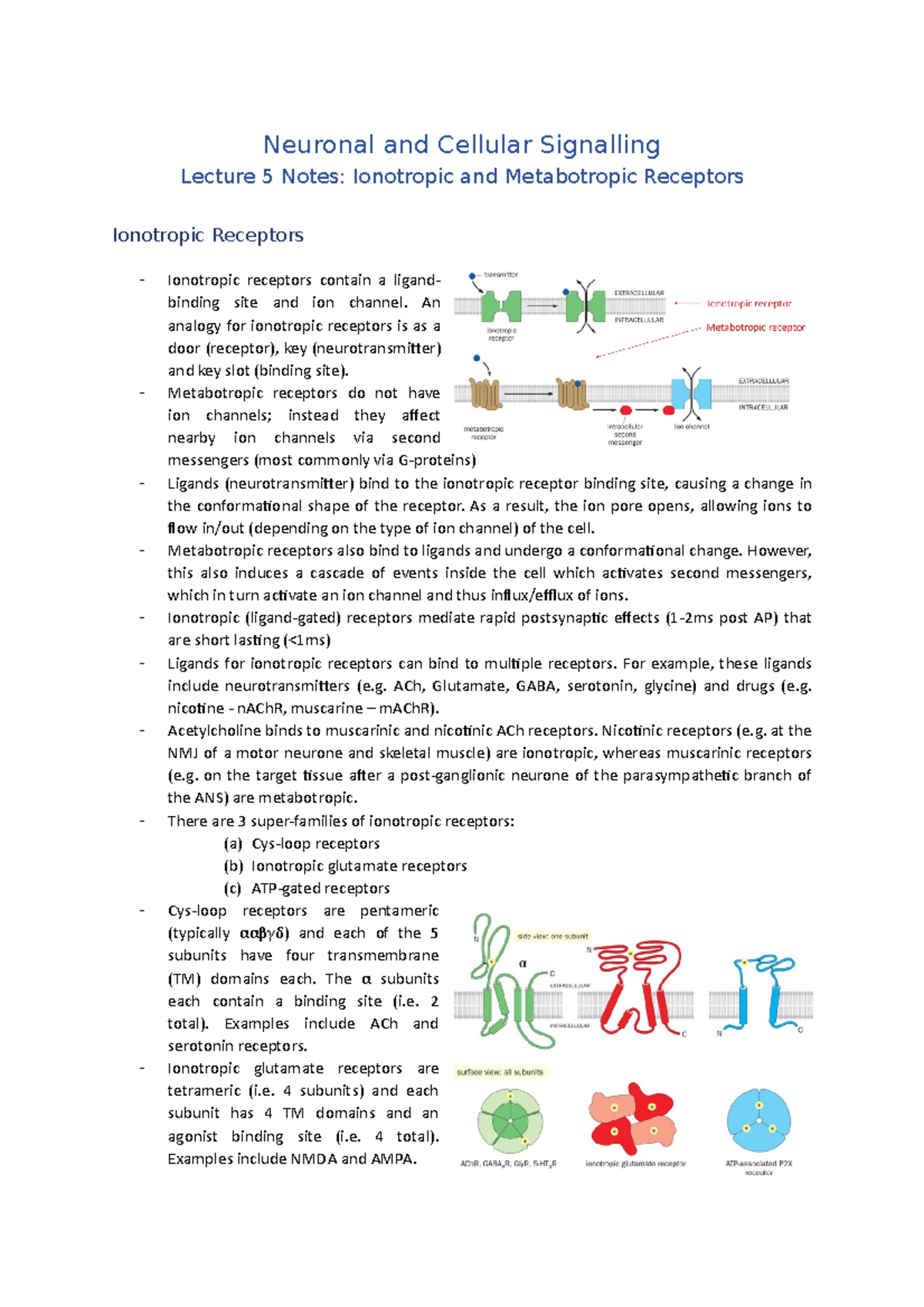 Lecture 5 Notes (Ionotropic and Metabotropic Receptors) - Neuronal and ...