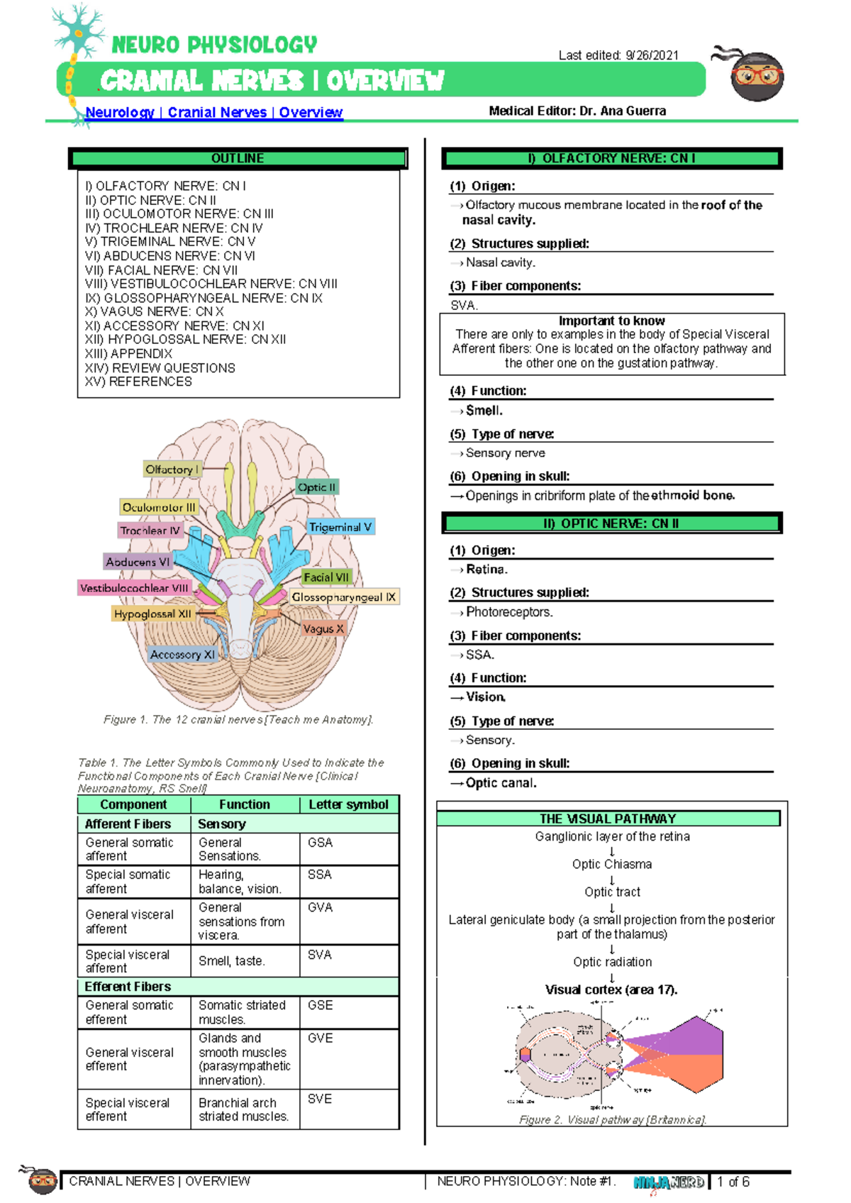 Cranial Nerves (5 of 5) - CRANIAL NERVES | OVERVIEW NEURO PHYSIOLOGY ...