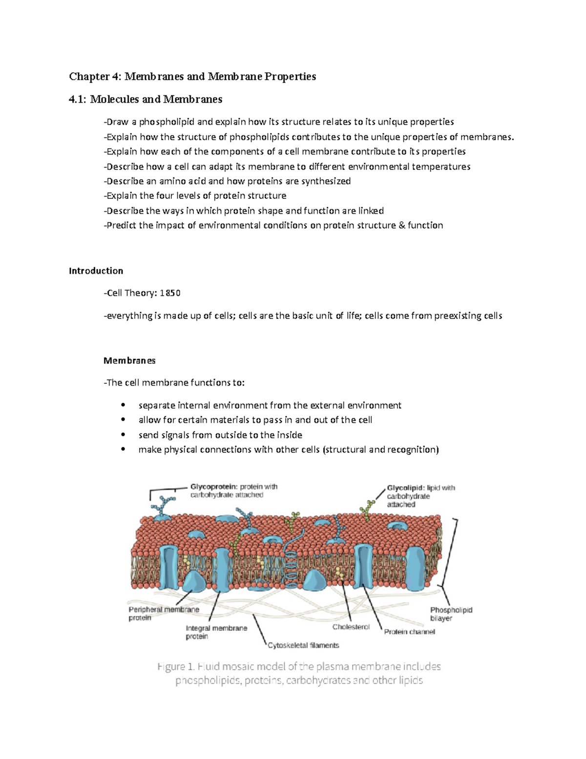 BIOL 151 Chapter 4 Study Guide - Chapter 4: Membranes and Membrane ...