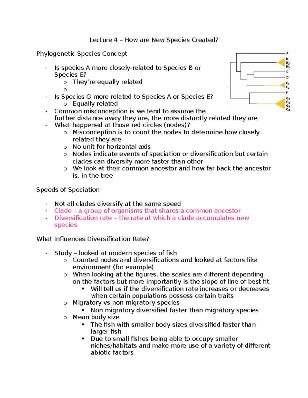 Lecture 4 - How are New Species Created - Lecture 4 – How are New ...