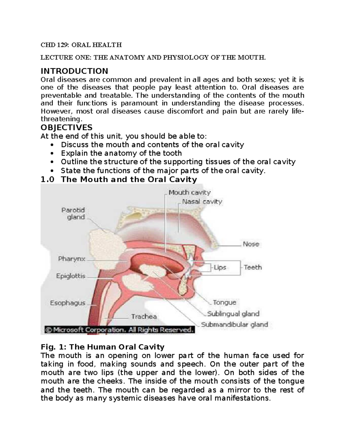 CHD 129 Lecture 1 - Oral Health - CHD 129: ORAL HEALTH LECTURE ONE: THE ...