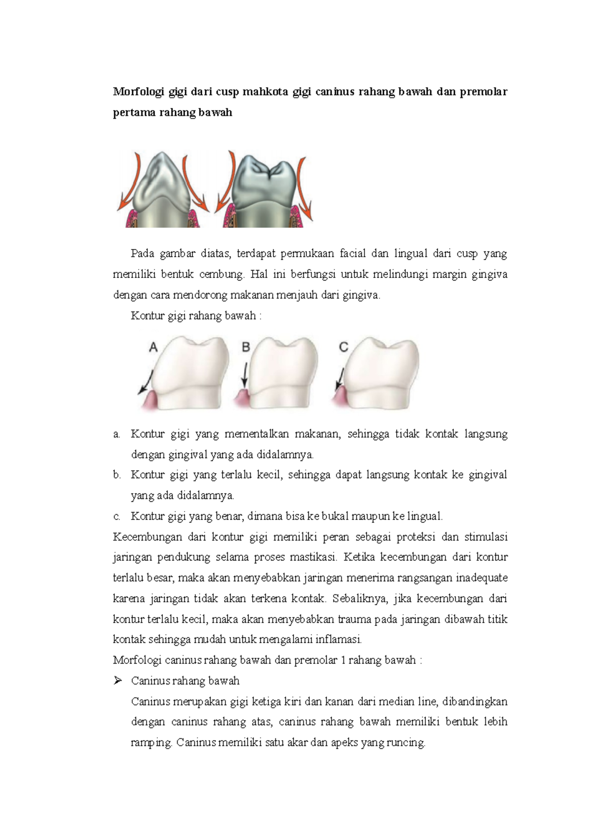 Materi 1 laporan praktikum - Morfologi gigi dari cusp mahkota gigi ...
