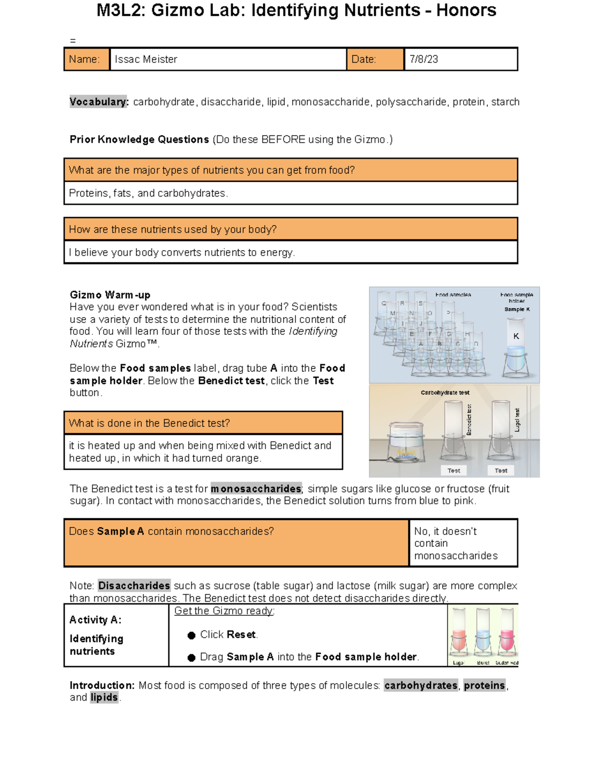 Copy of M3L2 Identifying Nutrients - Honors - M3L2: Gizmo Lab ...