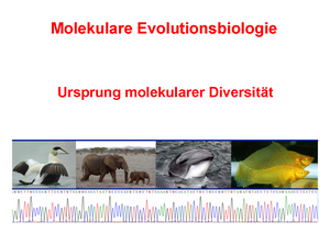 Mol Evol-5 v1 2022 - wintersemester - Neutrale Theorien für molekulare Evolution Molekulare ...