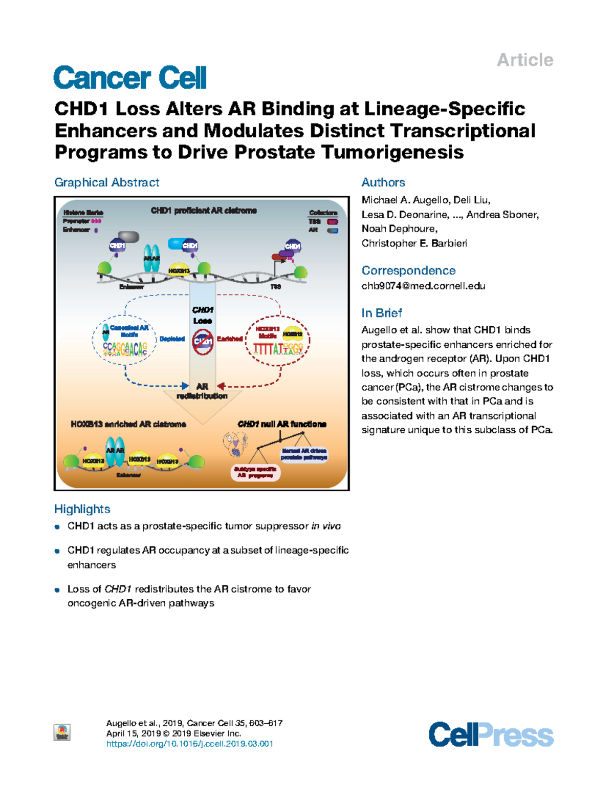 CHD1 Loss Alters AR Binding at Lineage-Specific Enhancers and Modulates ...