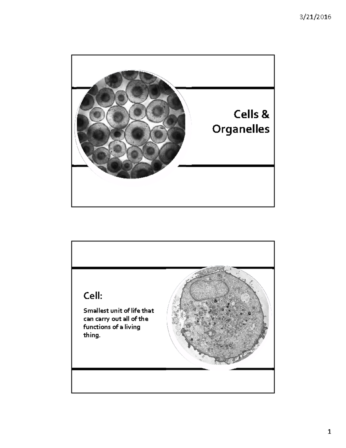 Cells-organelles-complete - Cells & Organelles Cell: Smallest unit of ...