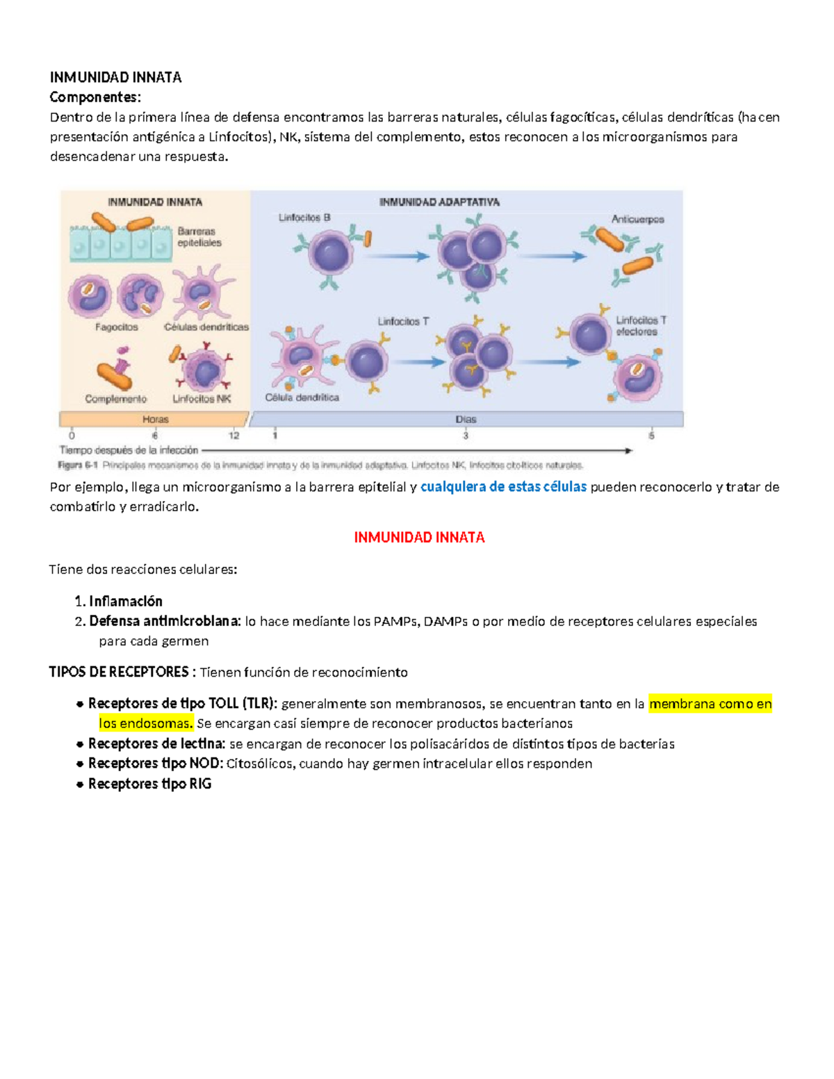 Clase 8 Sistema Inmune - INMUNIDAD INNATA Componentes: Dentro de la ...