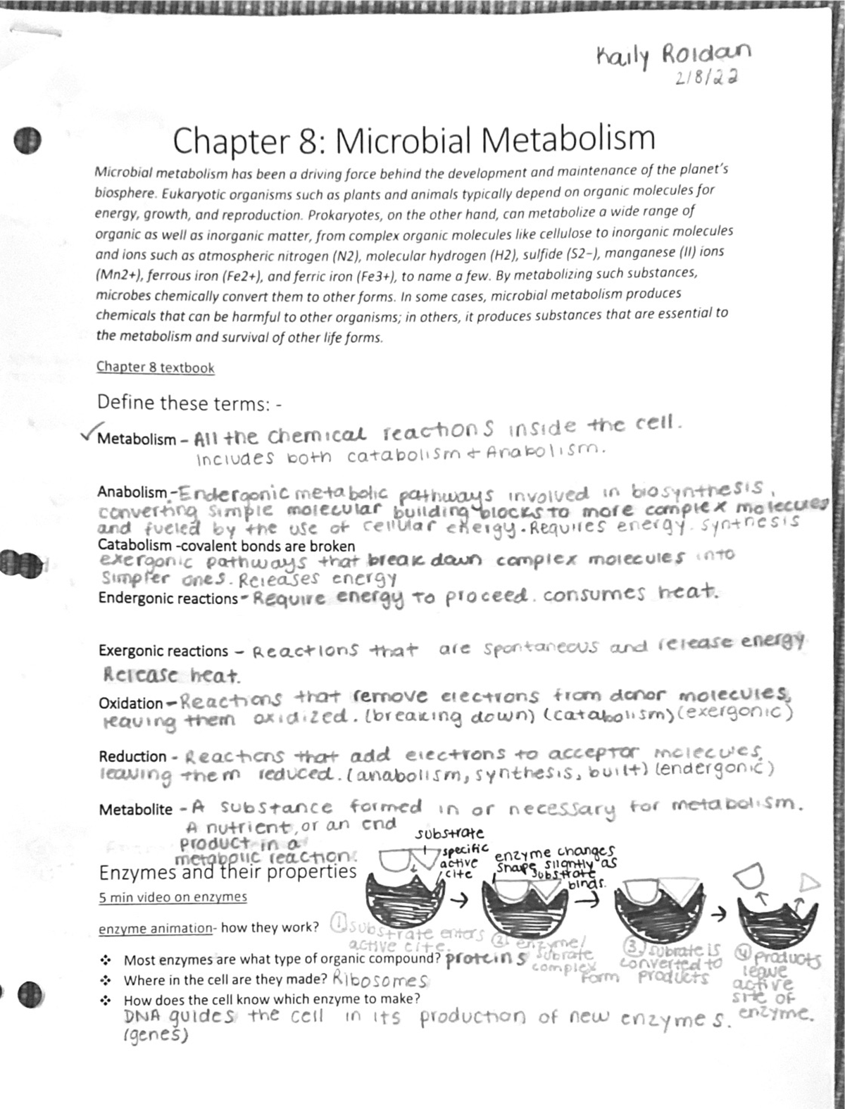 Micro Chapter 8 - BIOL 2117 - Studocu