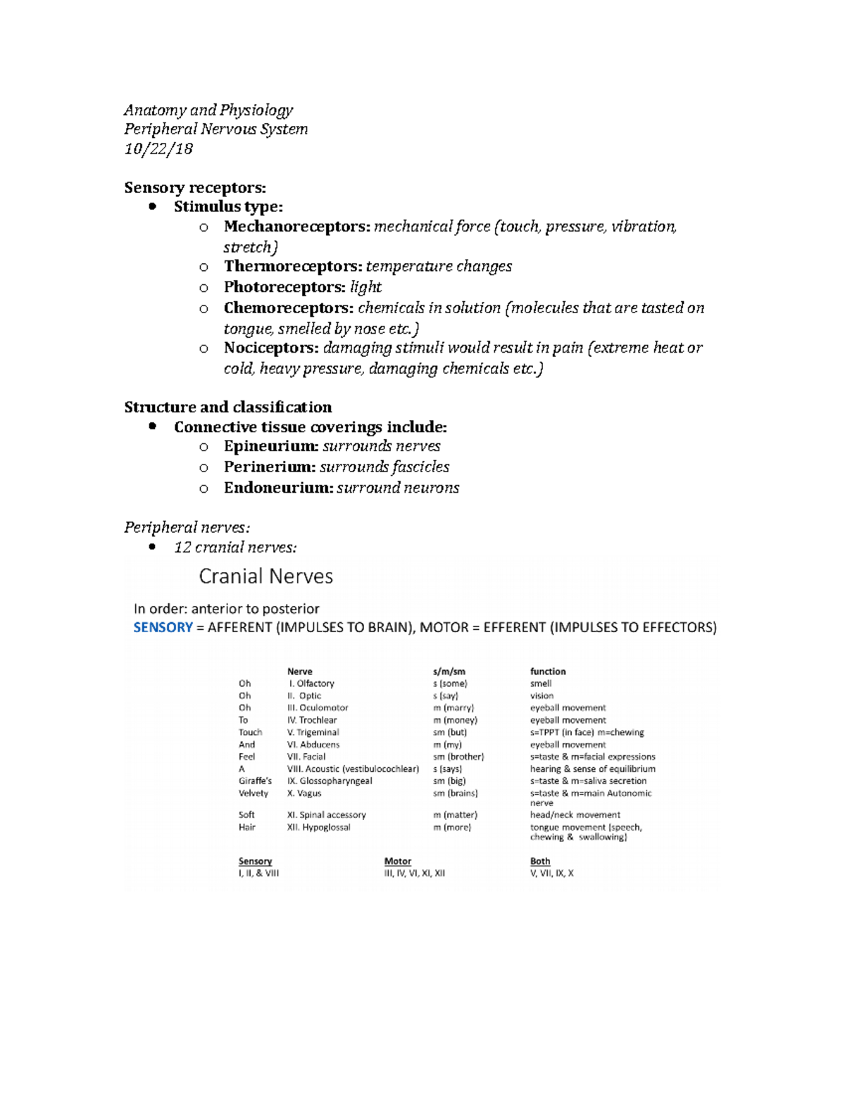 Anatomy and Physiology section 3 CNS (start of exam 3 material ...