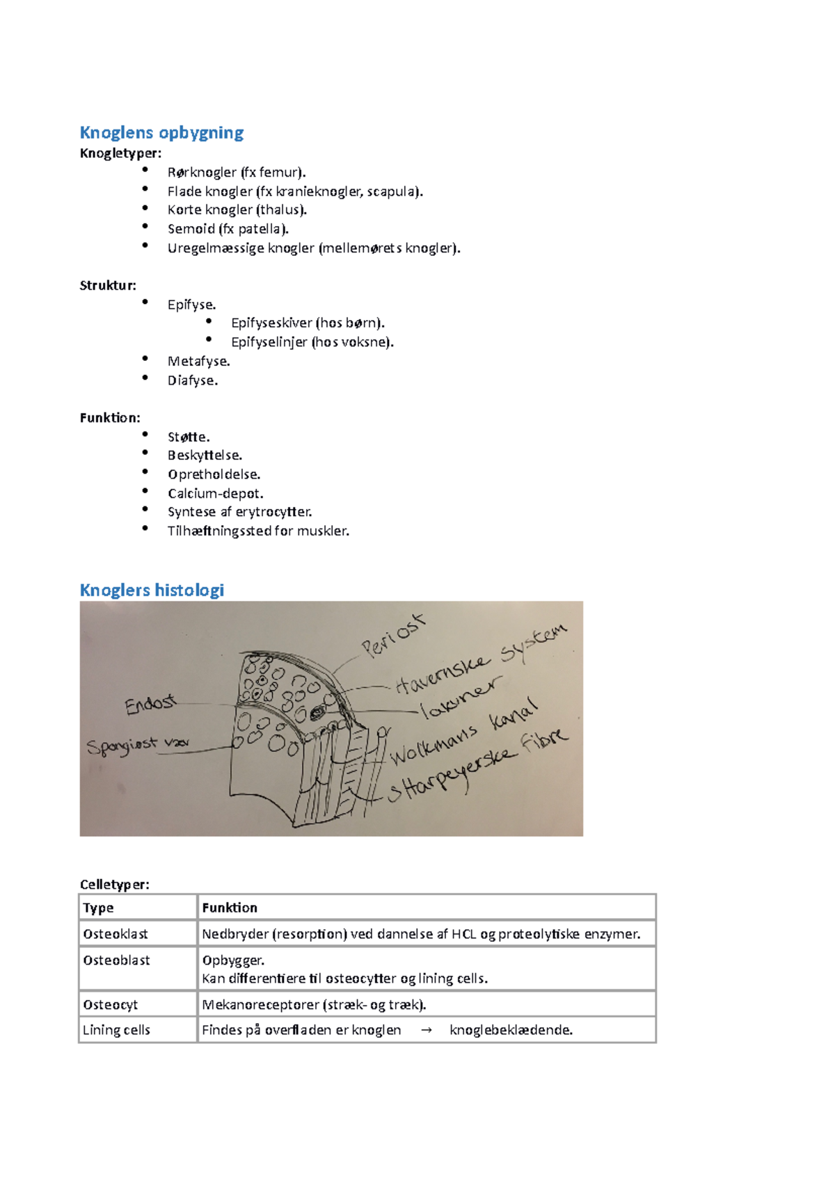 Case slut 3.1.5 - Knoglens opbygning Knogletyper: Rørknogler (fx femur ...