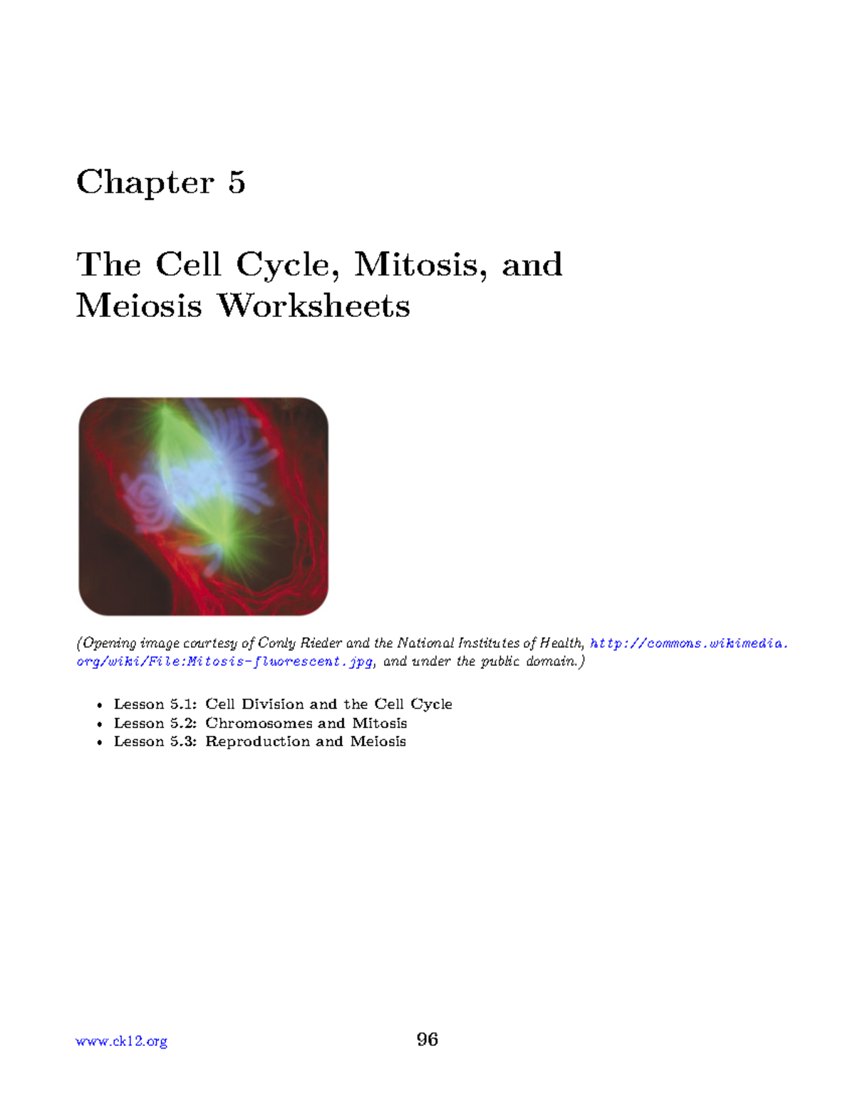 Chapter 5 CK-12 Biology Chapter 5 Worksheets - Chapter 5 The Cell Cycle ...