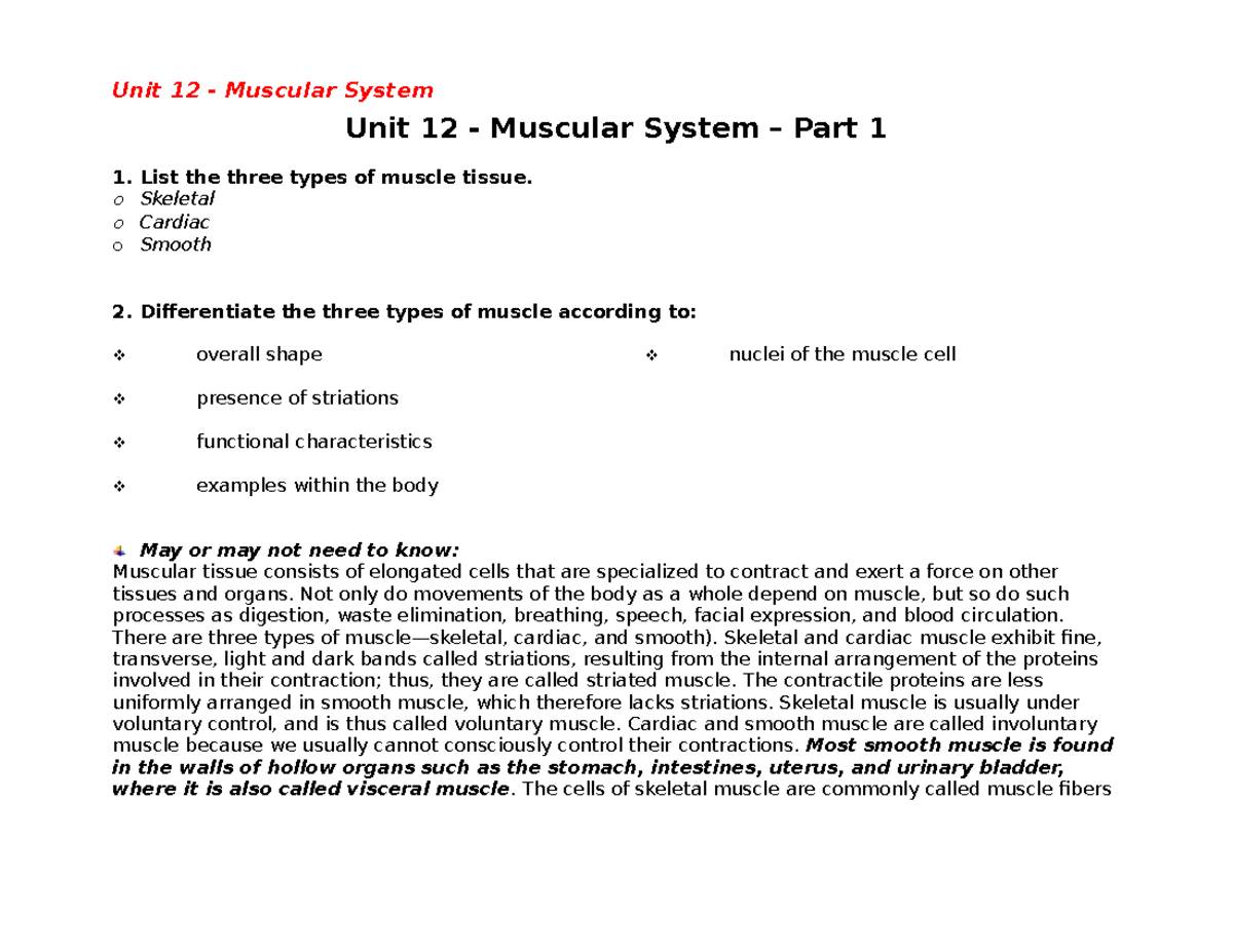 Unit 12 - Muscular System - Part 1 - Unit 12 - Muscular System Unit 12 ...