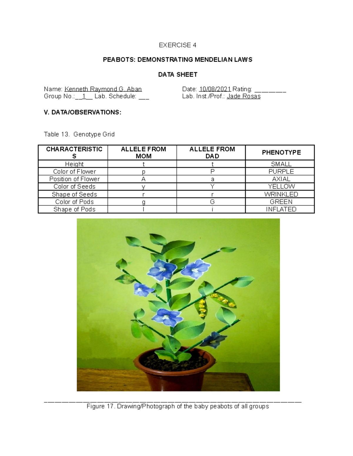 Exercise 4- Data Sheet - Laboratory assignment - EXERCISE 4 PEABOTS ...