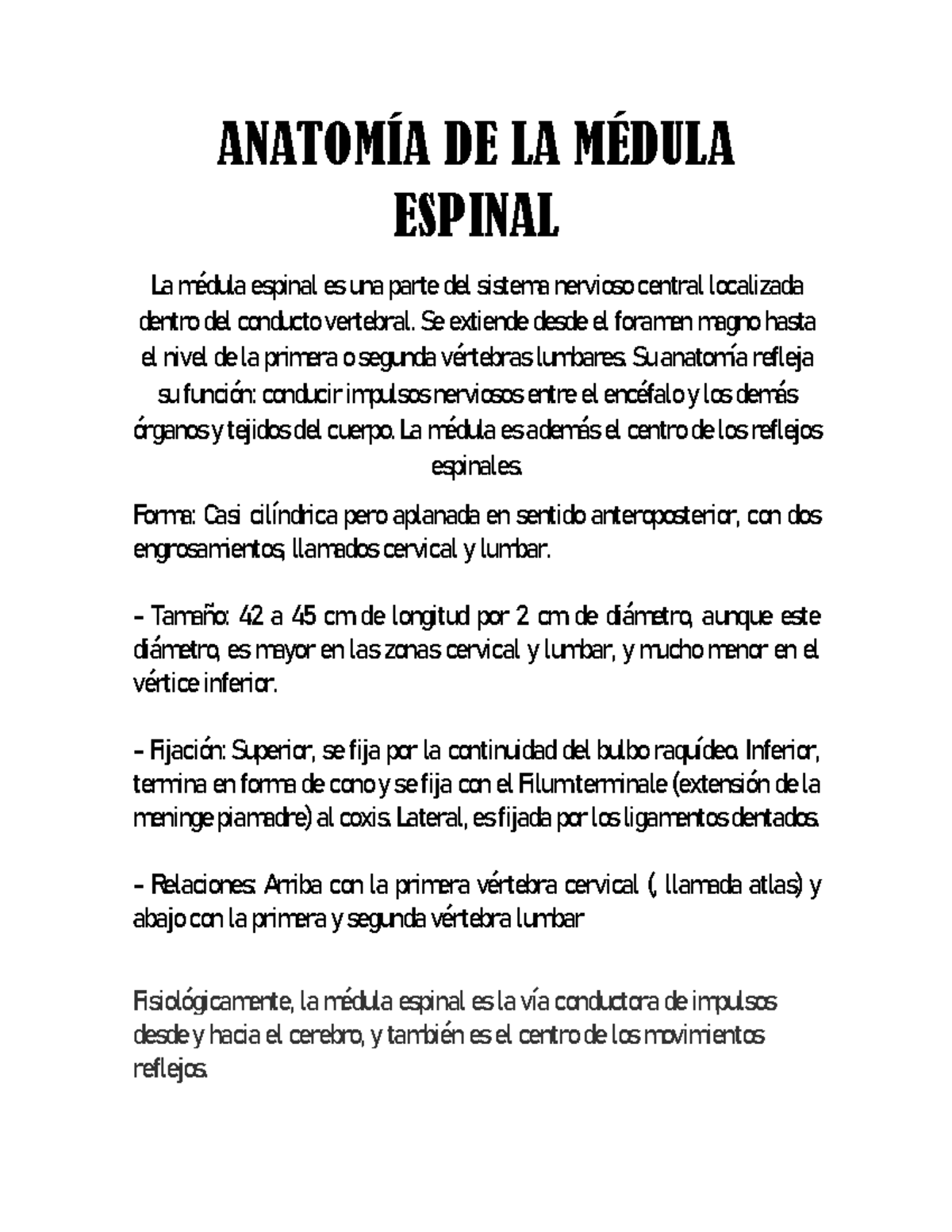 Anatomia DE LA Medula Espinal - ANATOMÕA DE LA M.. ESPINAL La mÈdula ...