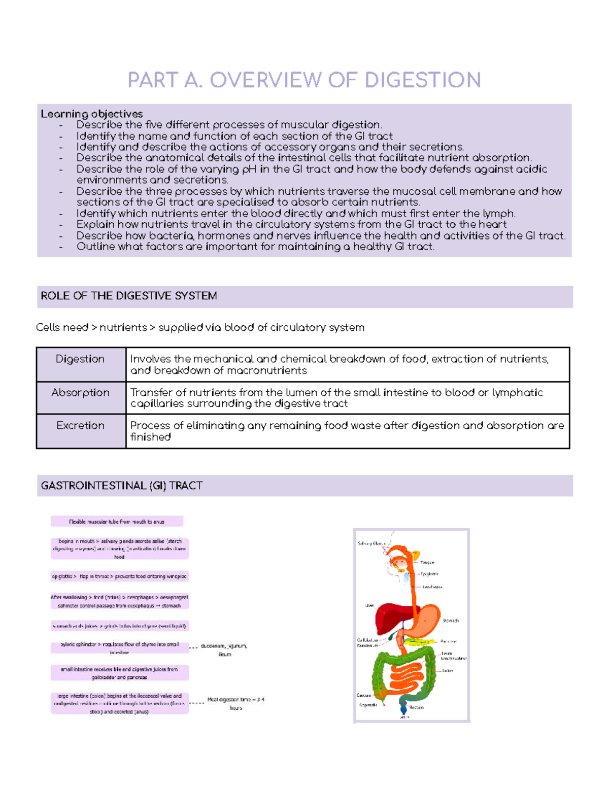 Week 2 part A - PART A. OVERVIEW OF DIGESTION Learning objectives ...