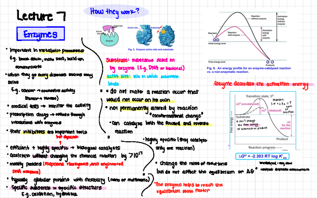 Lecture 7 Review - notes from ppts - How they work ? ####### Lecture 7 ...