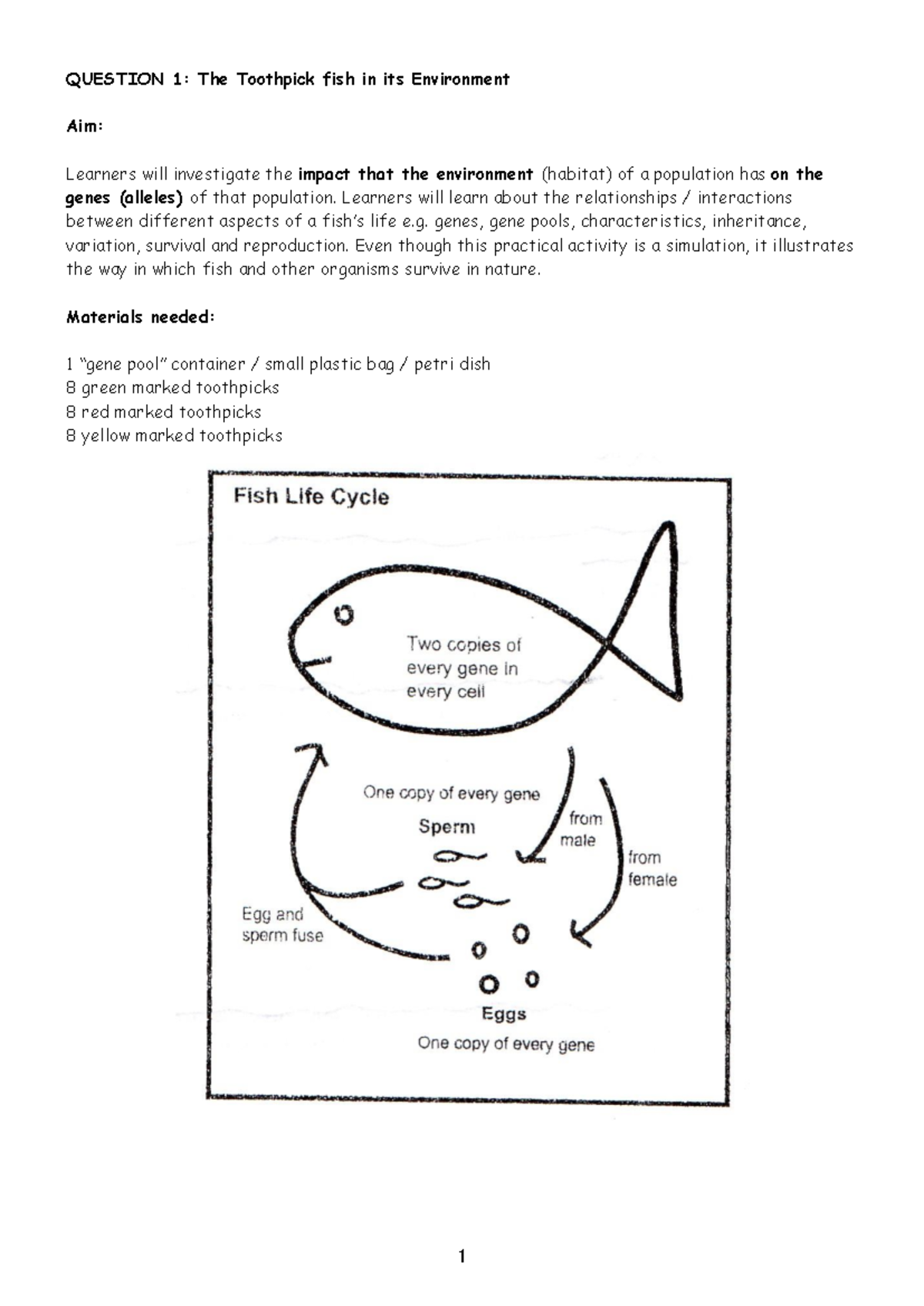 1 Grade 12 Genetics Practical - QUESTION 1: The Toothpick fish in its ...